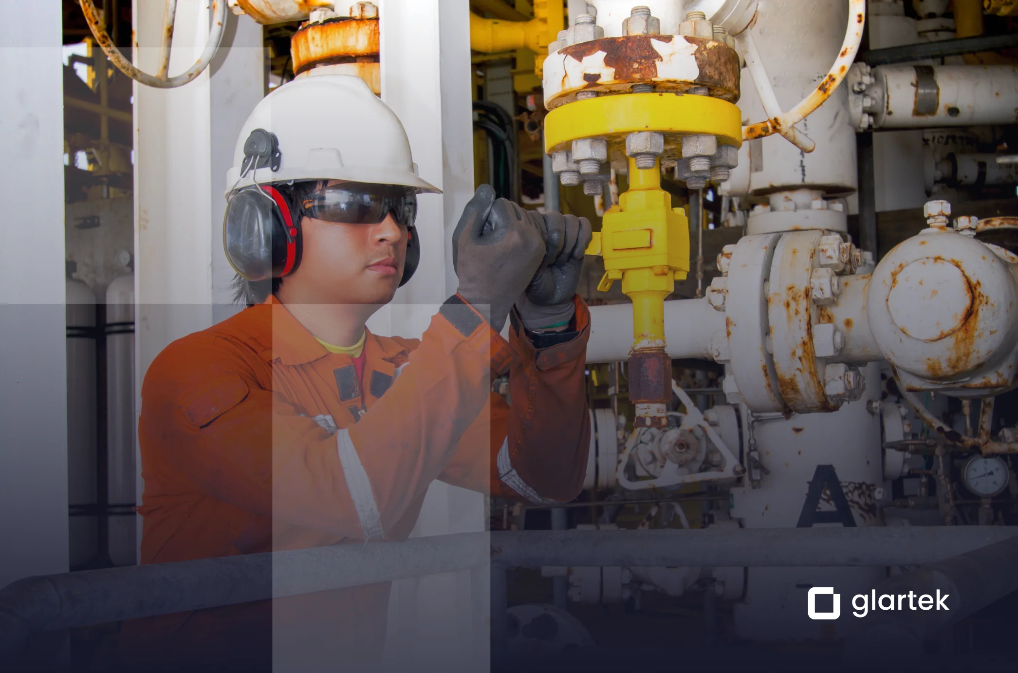 PPE Inspection Template - Glartek